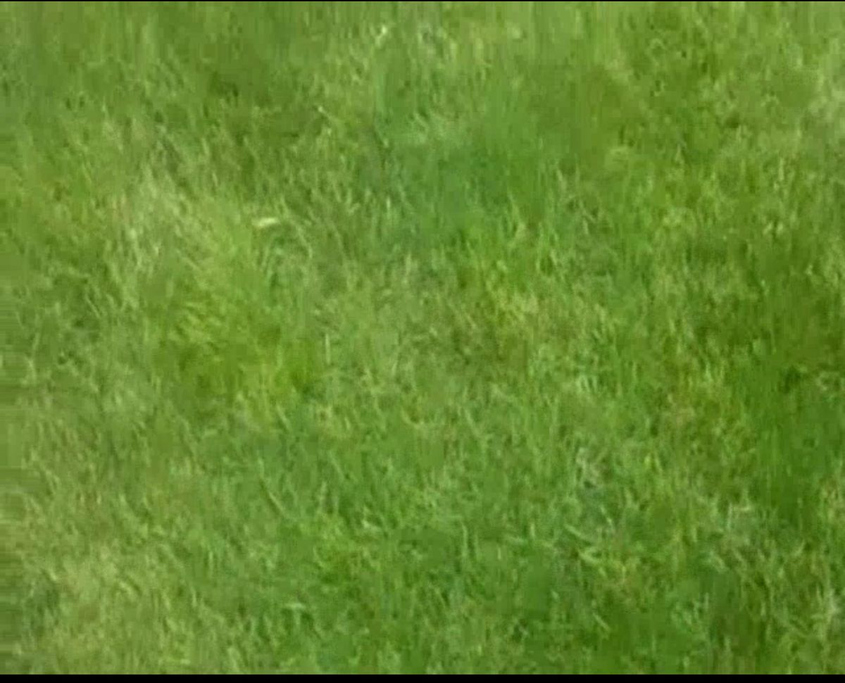 Vision log 1180- BTC in 2027-2030, the market in Q2 2024, prediction ...